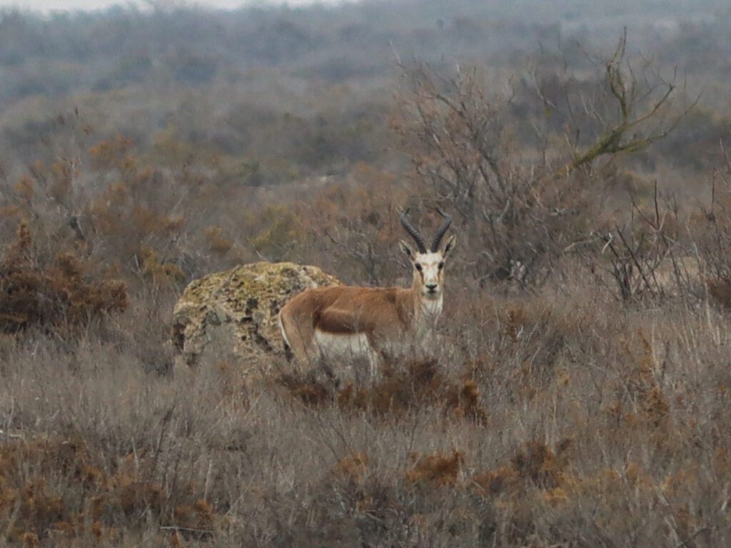 Expedition to Shirvan National Park - Forest School Azerbaijan